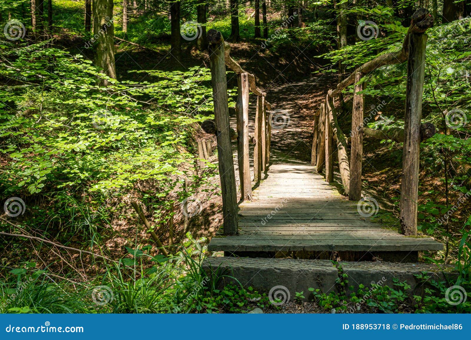 Idyllic Old Bridge in a Forest Stock Photo - Image of bridge, magic ...