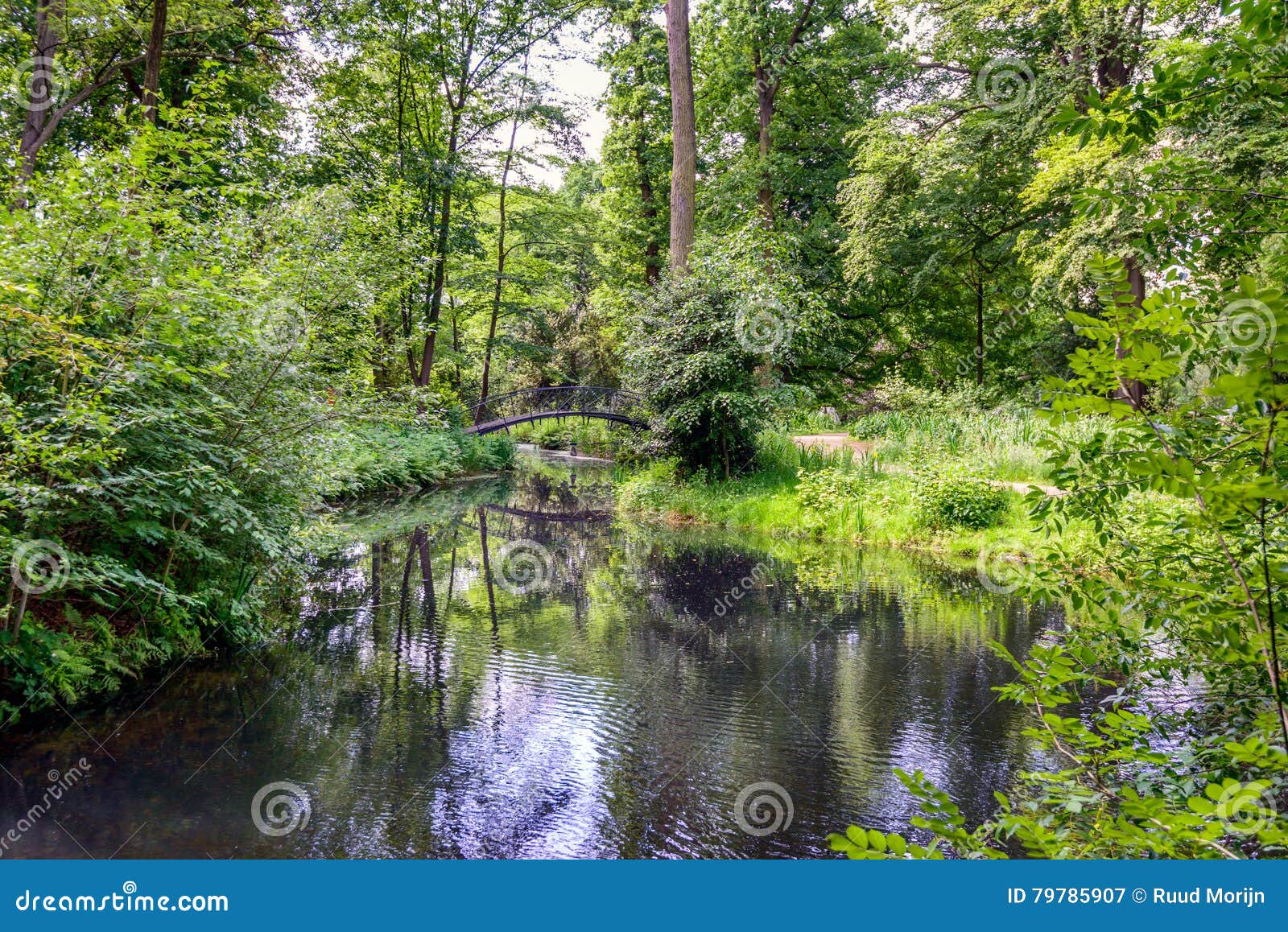 Idyllic Park with a Canal and an Old Arch Bridge Stock Image - Image of ...