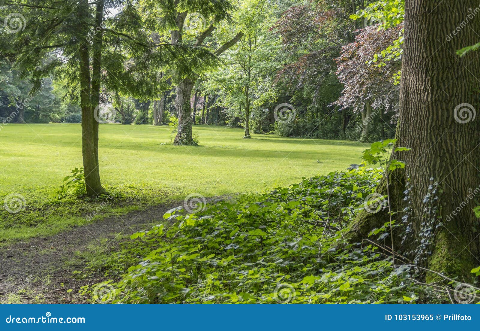 Idyllic park scenery stock image. Image of lawn, grassland - 103153965