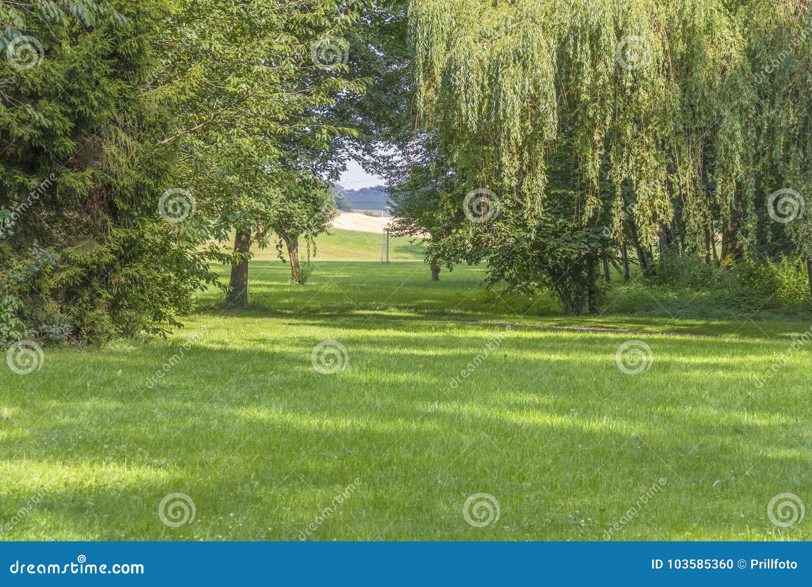 Idyllic park scenery stock photo. Image of idyllic, foliage - 103585360