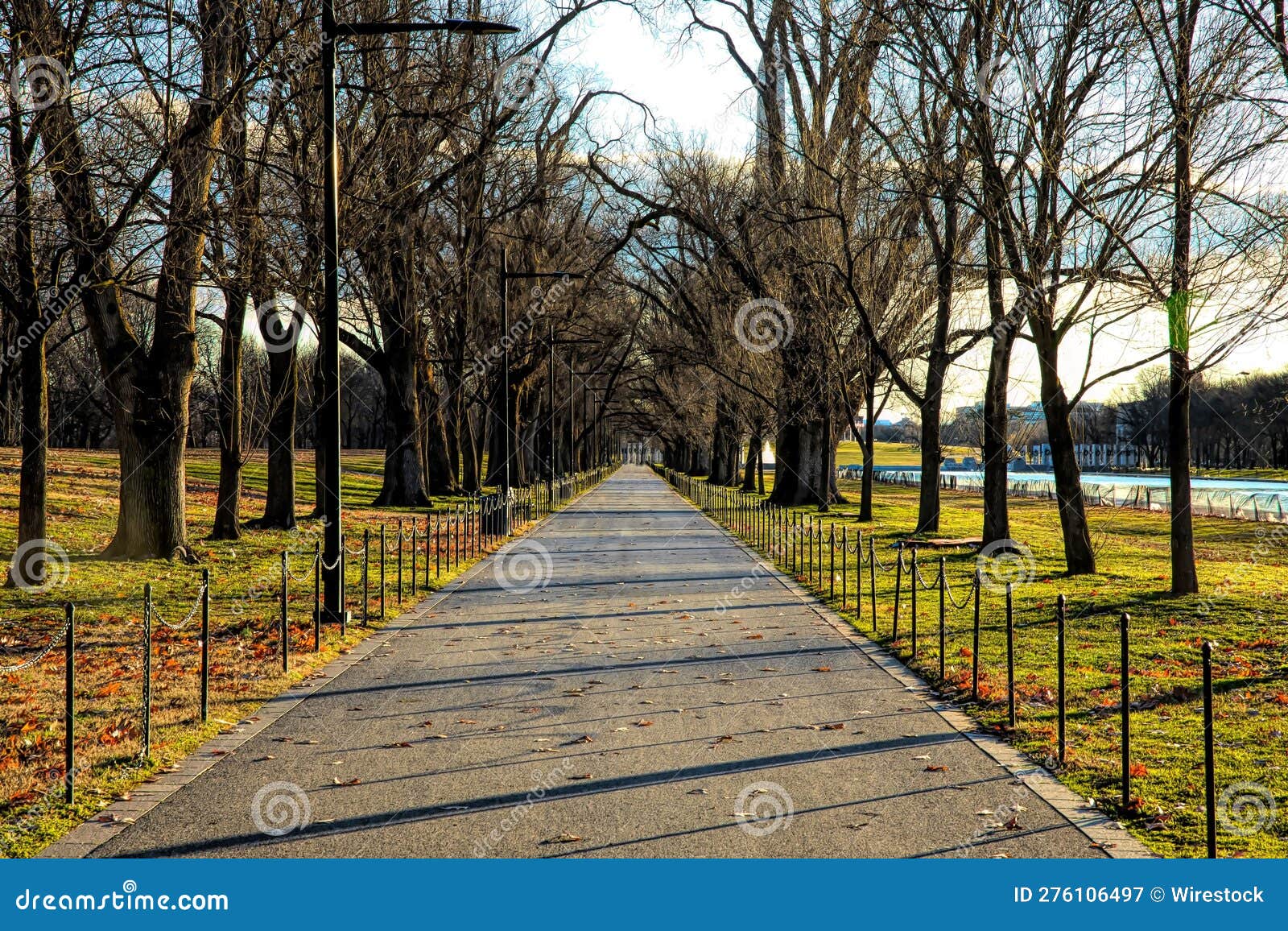 Idyllic Pathway through a Lush Park, Lined with Trees and Vibrant Green ...