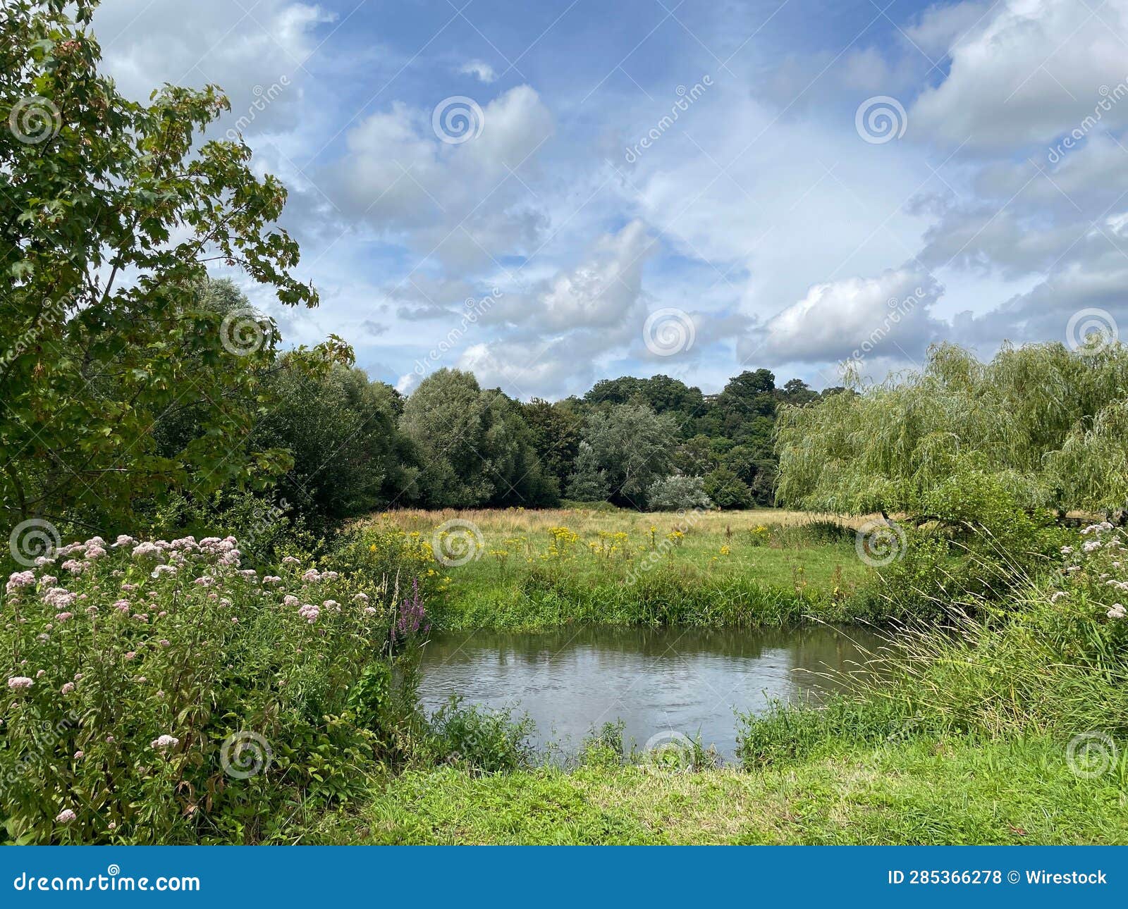 Idyllic Pond Surrounded by Lush Greenery. Stock Photo - Image of river ...