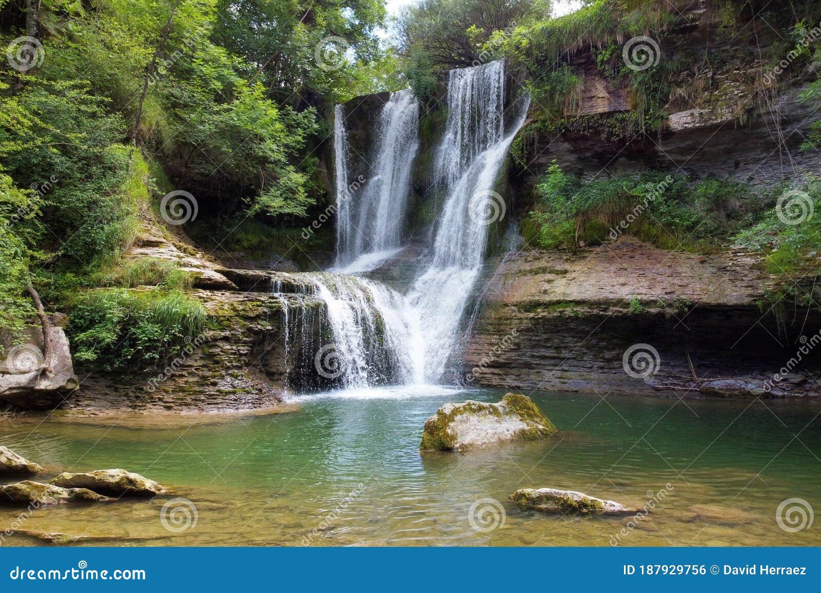 Idyllic Rain Forest Waterfall, Stream Flowing in the Lush Green Forest ...