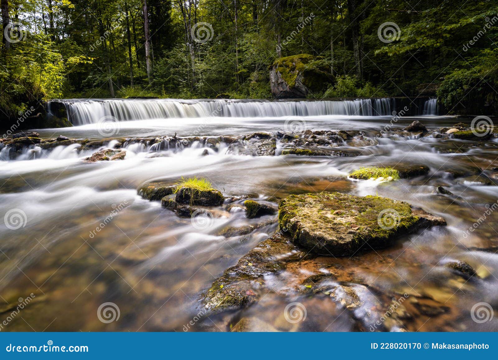 Idyllic River Landscape in the Forest with a Small Waterfall Stock ...