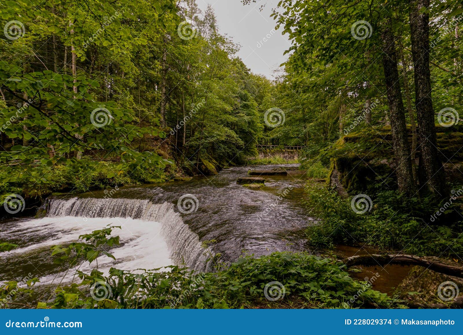 Idyllic River Landscape in the Forest with a Small Waterfall Stock ...