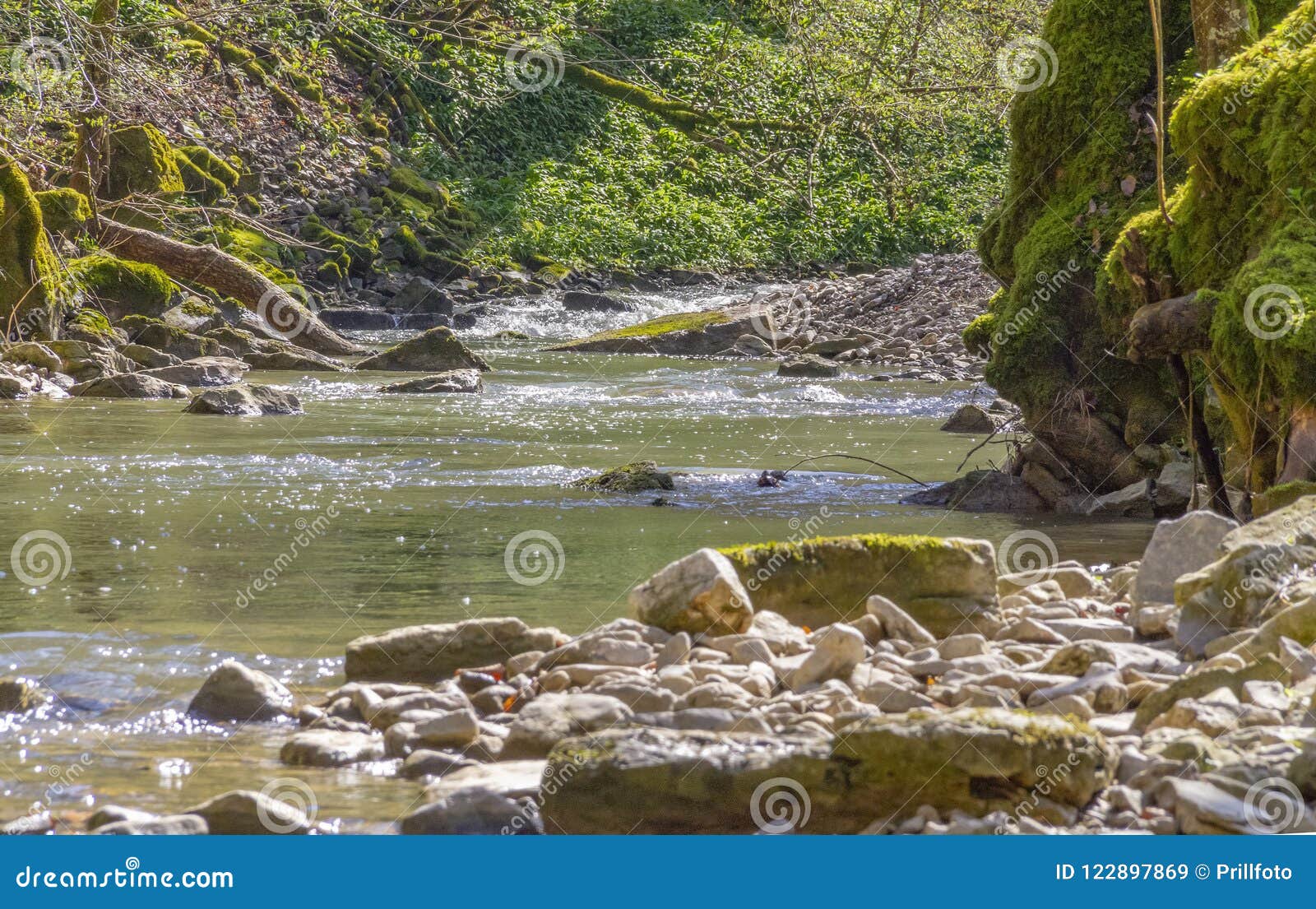Idyllic River at Spring Time Stock Image - Image of countryside ...