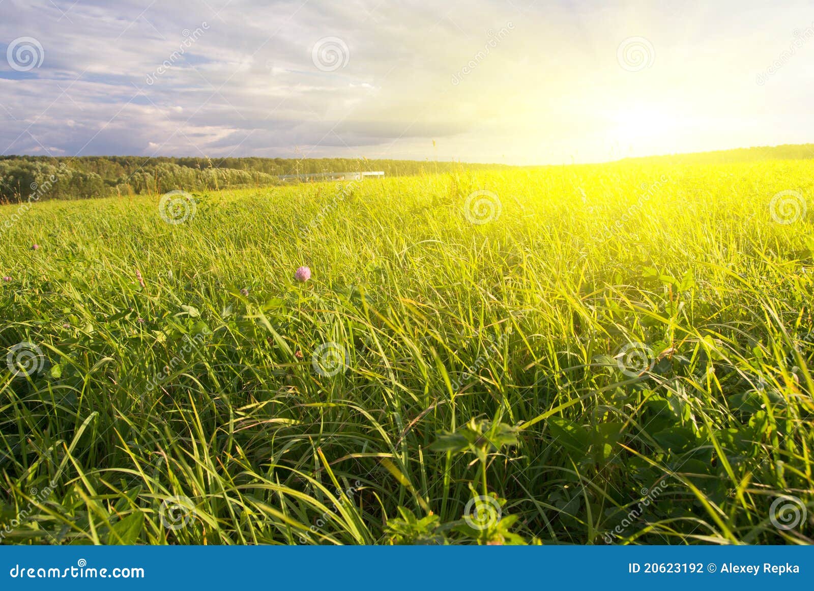 Idyllic rural landscape stock photo. Image of outdoors - 20623192