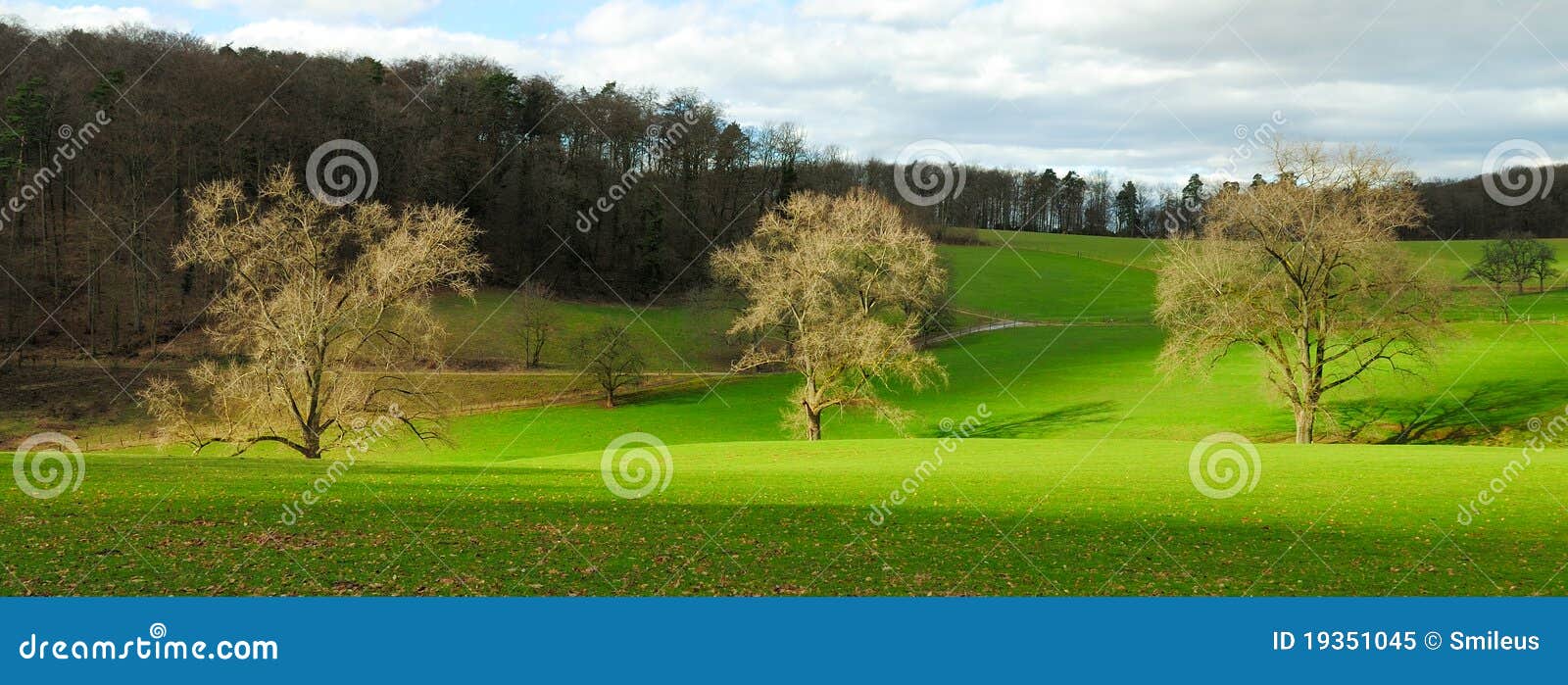 Idyllic Rural Landscape in Nice Light Stock Image - Image of grass ...