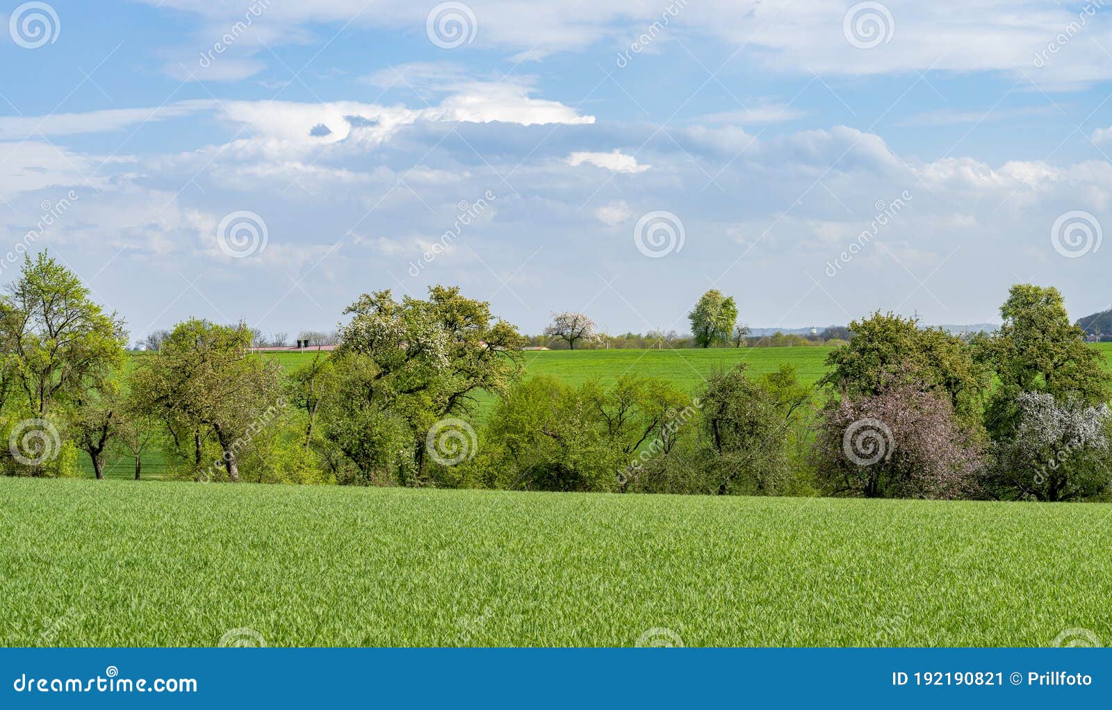 Idyllic rural landscape stock image. Image of fruit - 192190821