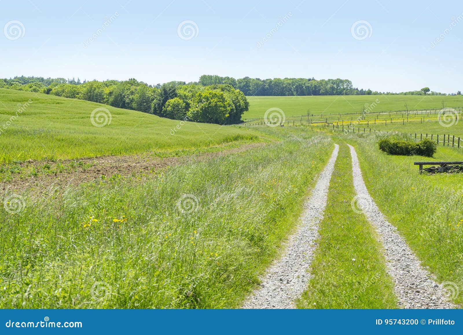 Idyllic rural scenery stock photo. Image of field, pasture - 95743200