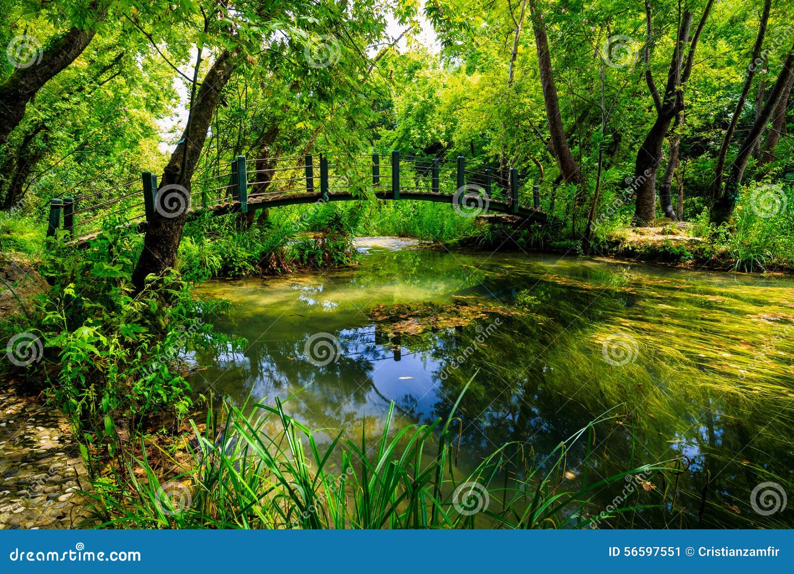 Idyllic Scenario with a Mountain River Stock Image - Image of idyllic ...