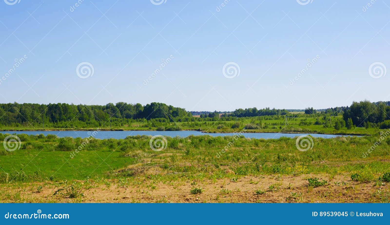 Idyllic scene stock image. Image of dawn, pond, green - 89539045