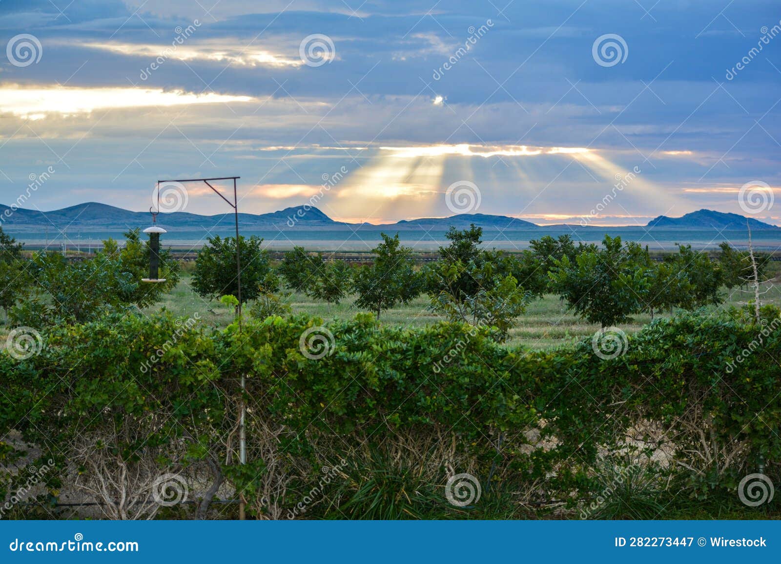 Idyllic Scene of a Vibrant Sunset Over Sprawling Green Fields Dotted ...