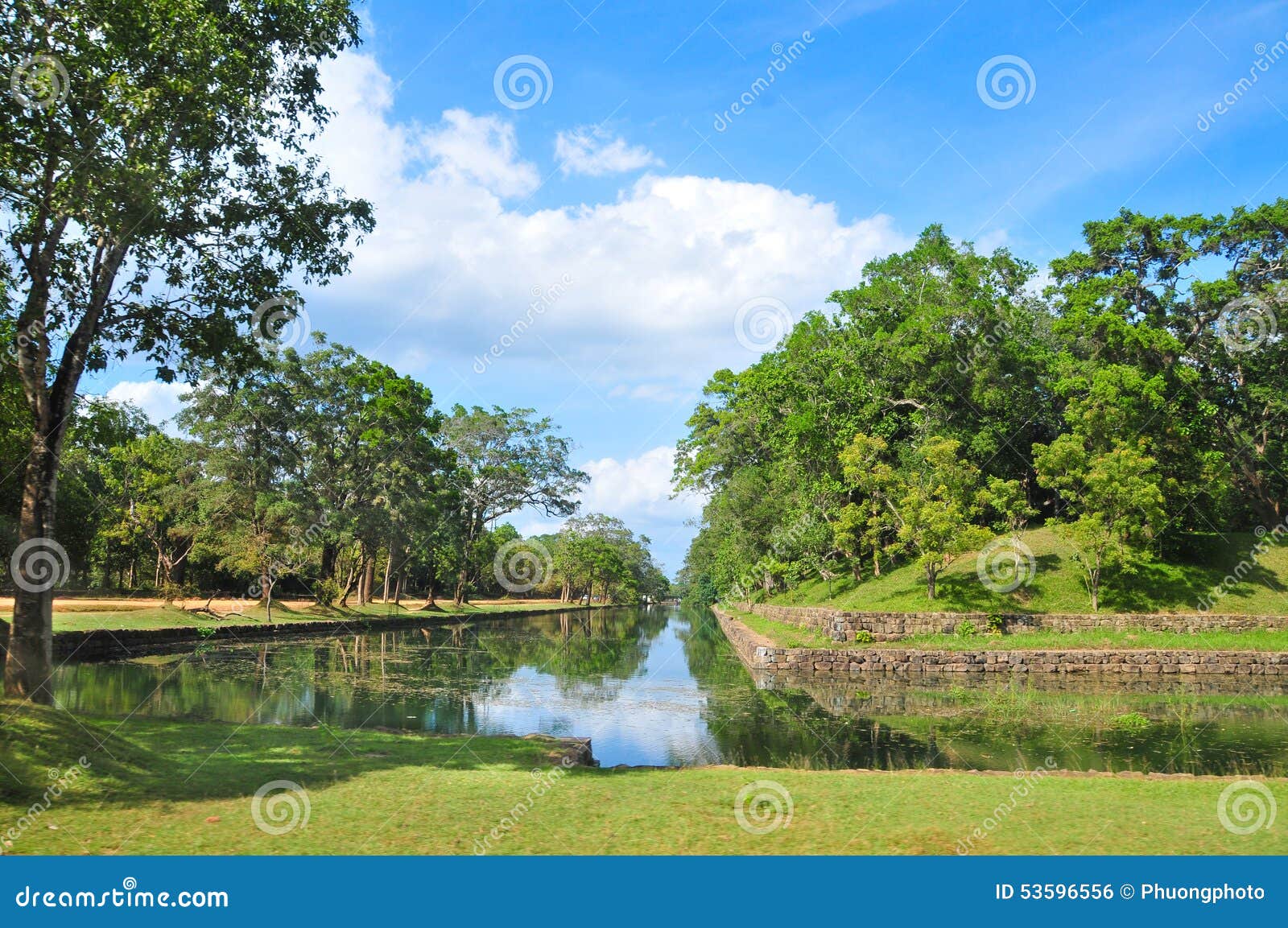 Idyllic Scenery of Forest Tree and River Stock Photo - Image of ...