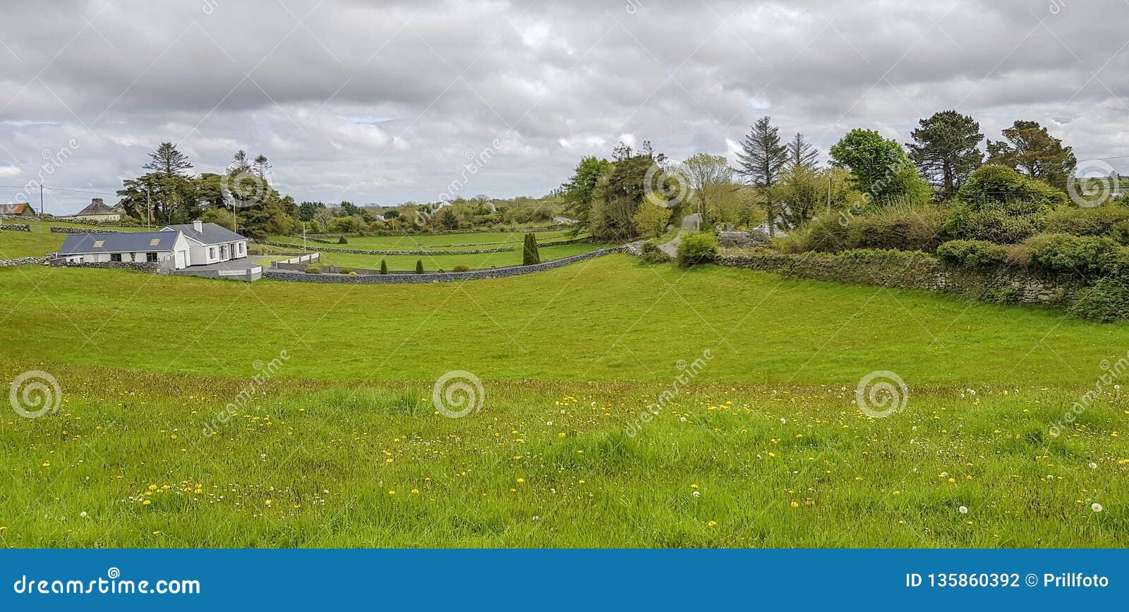 Idyllic scenery in Ireland stock photo. Image of bush - 135860392