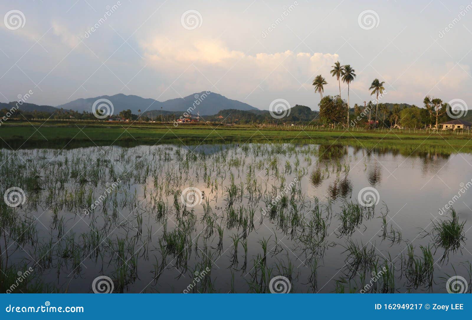 The Idyllic Scenery of Nature Combined with Beautiful Reflections ...