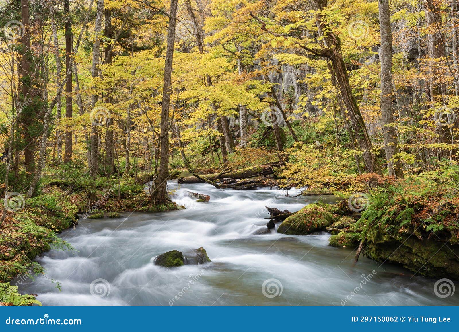 Idyllic Landscape of Oirase Stream, Aomori, Japan Stock Photo - Image ...