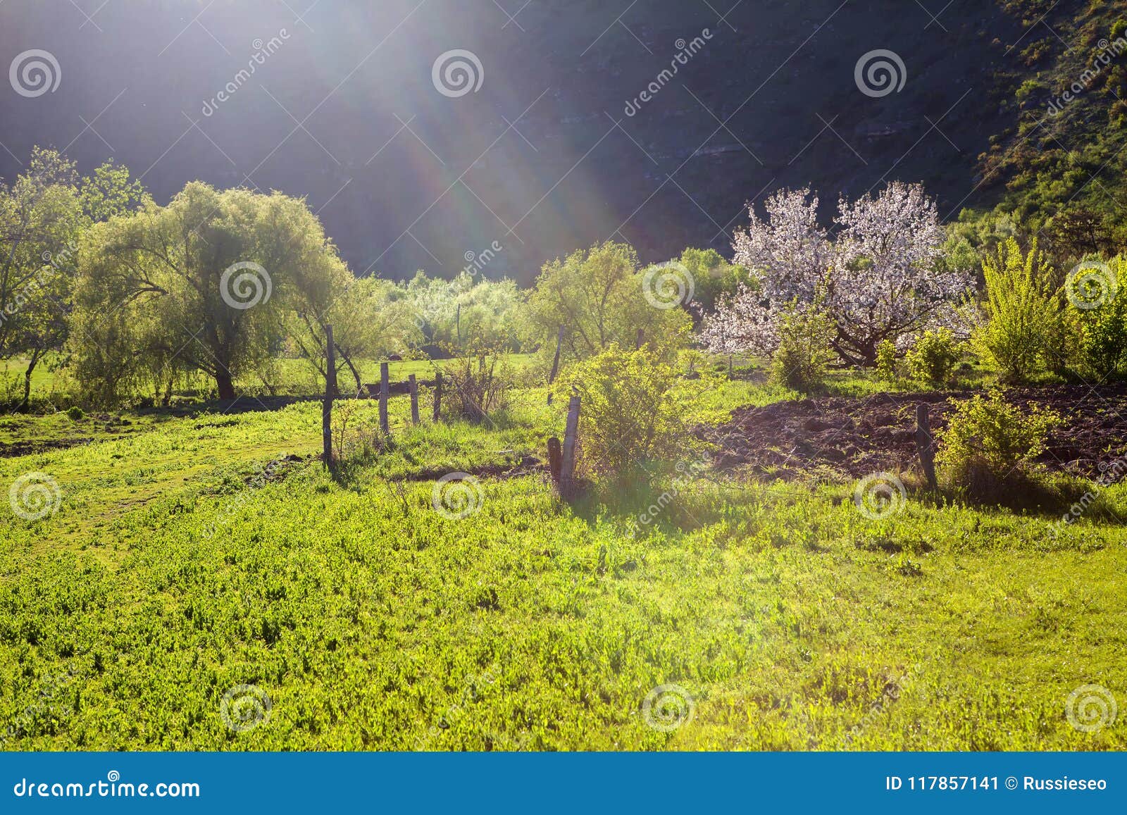 Idyllic scenery stock image. Image of rays, summer, sunny - 117857141