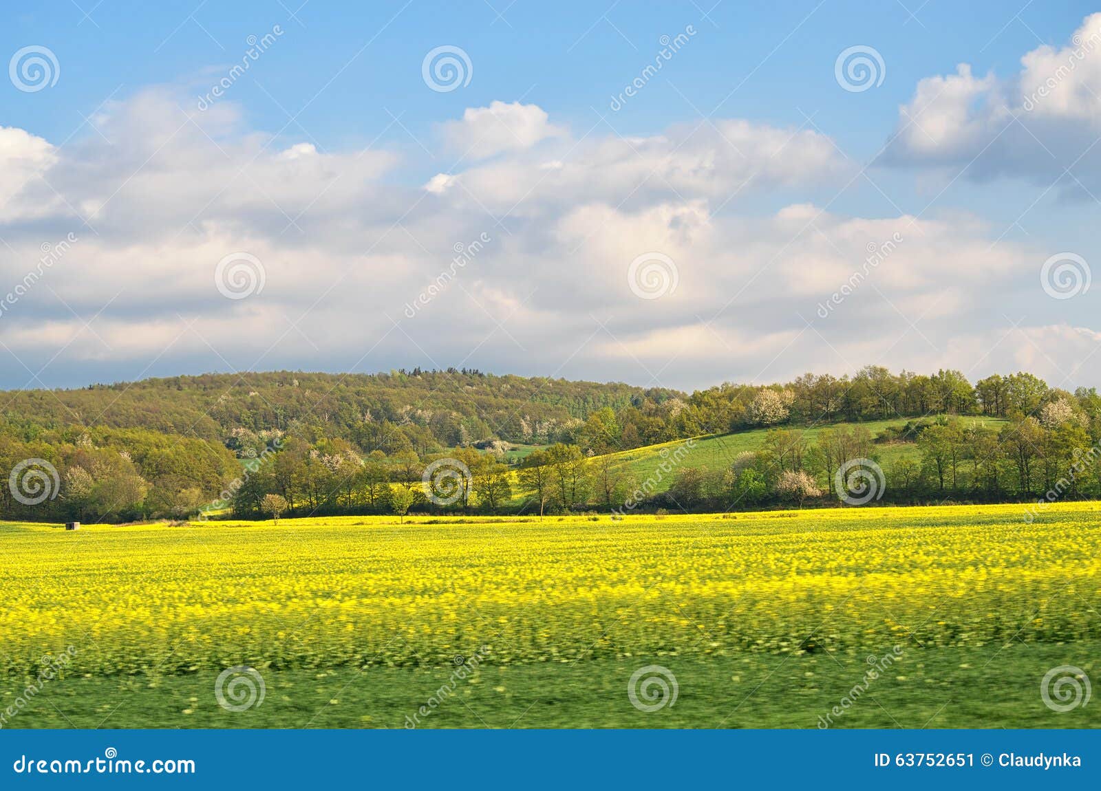Idyllic scenery. stock image. Image of clean, forests - 63752651