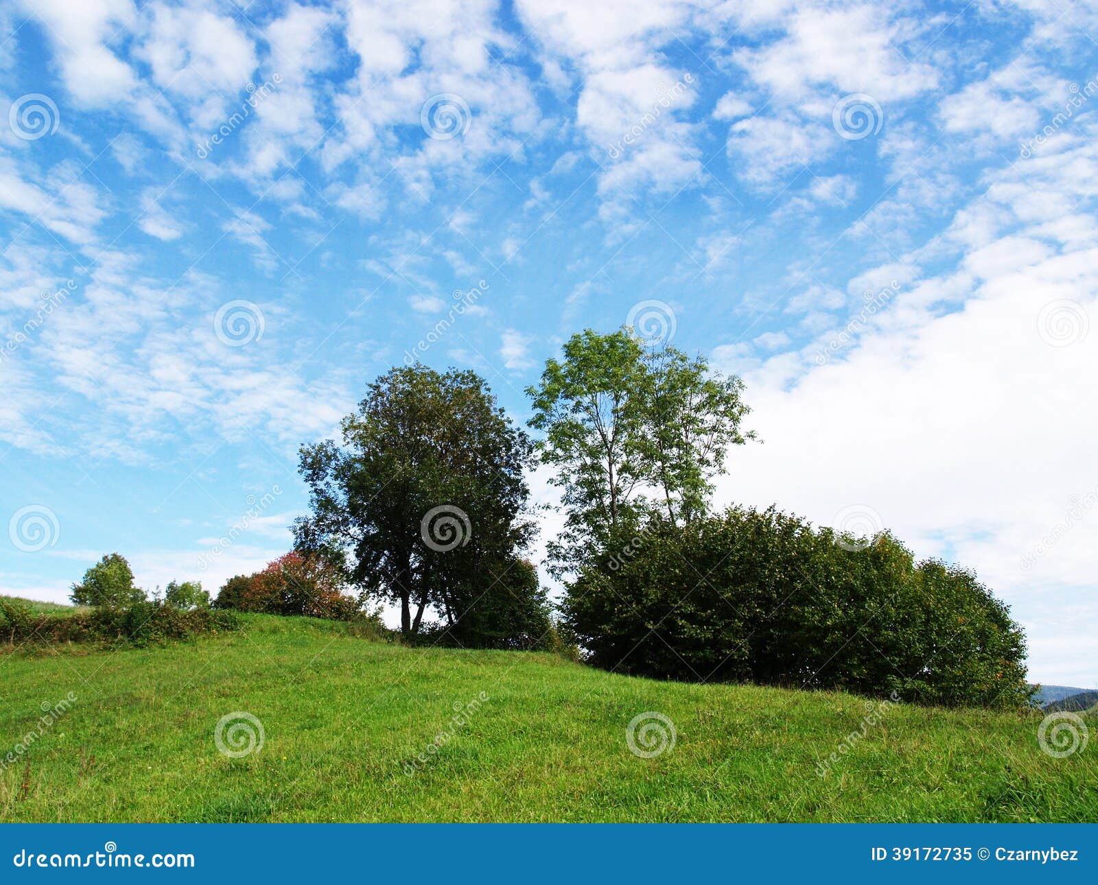 Idyllic spring landscape stock image. Image of forest - 39172735