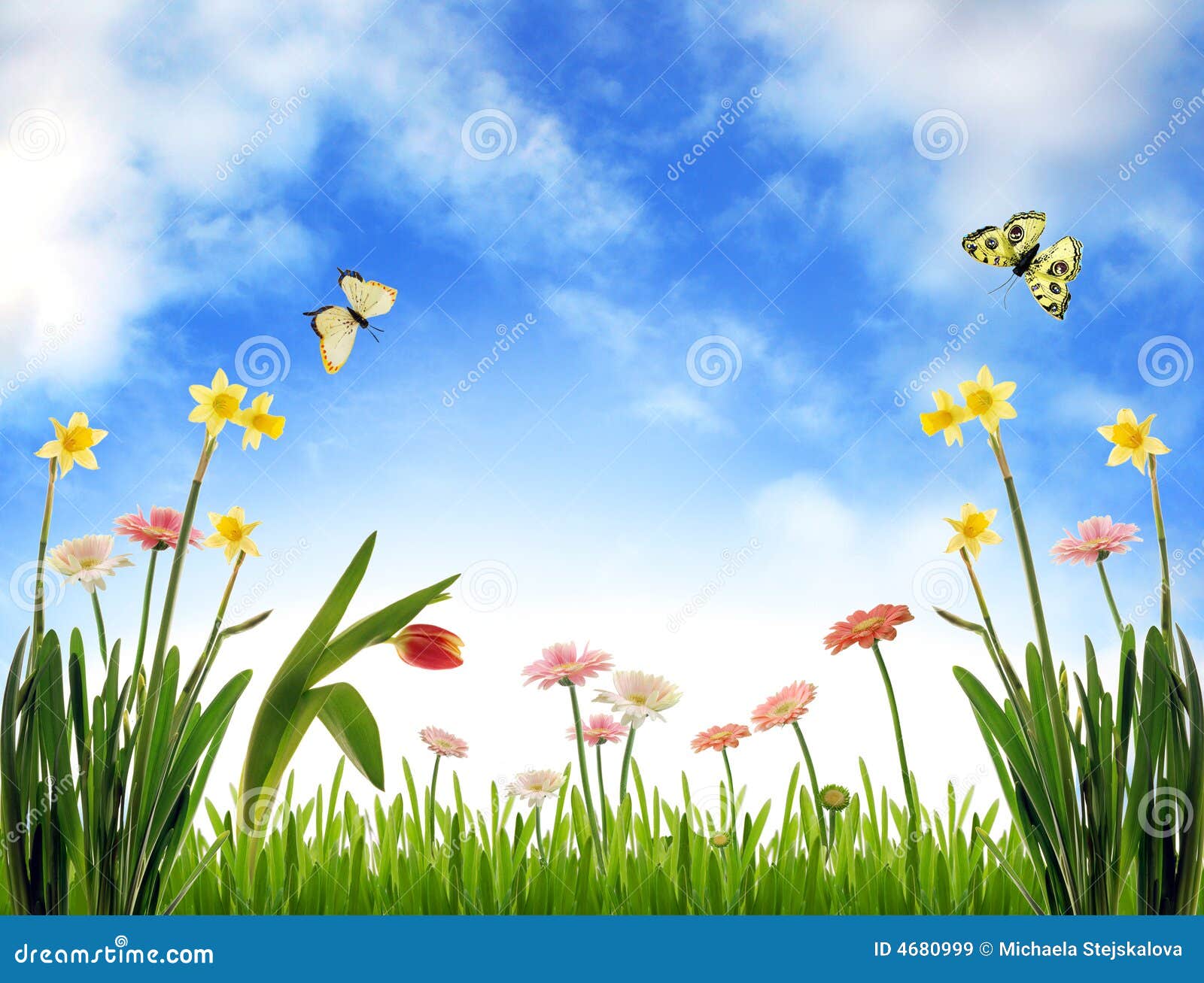 Idyllic spring scenery stock image. Image of flying, flowers - 4680999