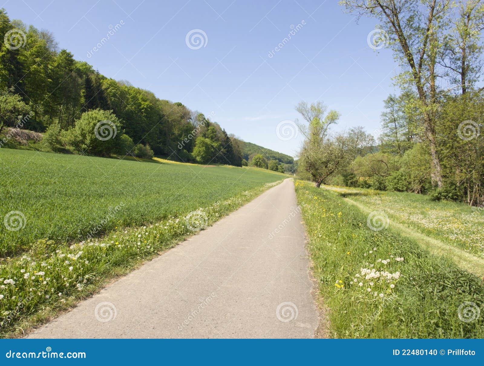 Idyllic Spring Scenery in Hohenlohe Stock Photo - Image of road ...