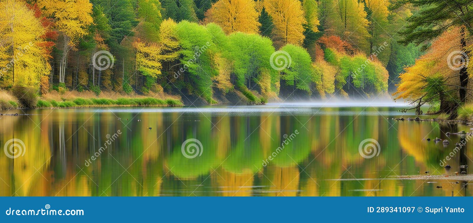 Idyllic Spring Summer Nature Reflection Horizontal Anamorphic Display ...