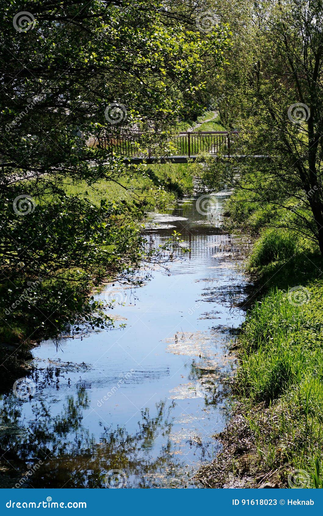 Idyllic stream stock image. Image of branches, graze - 91618023