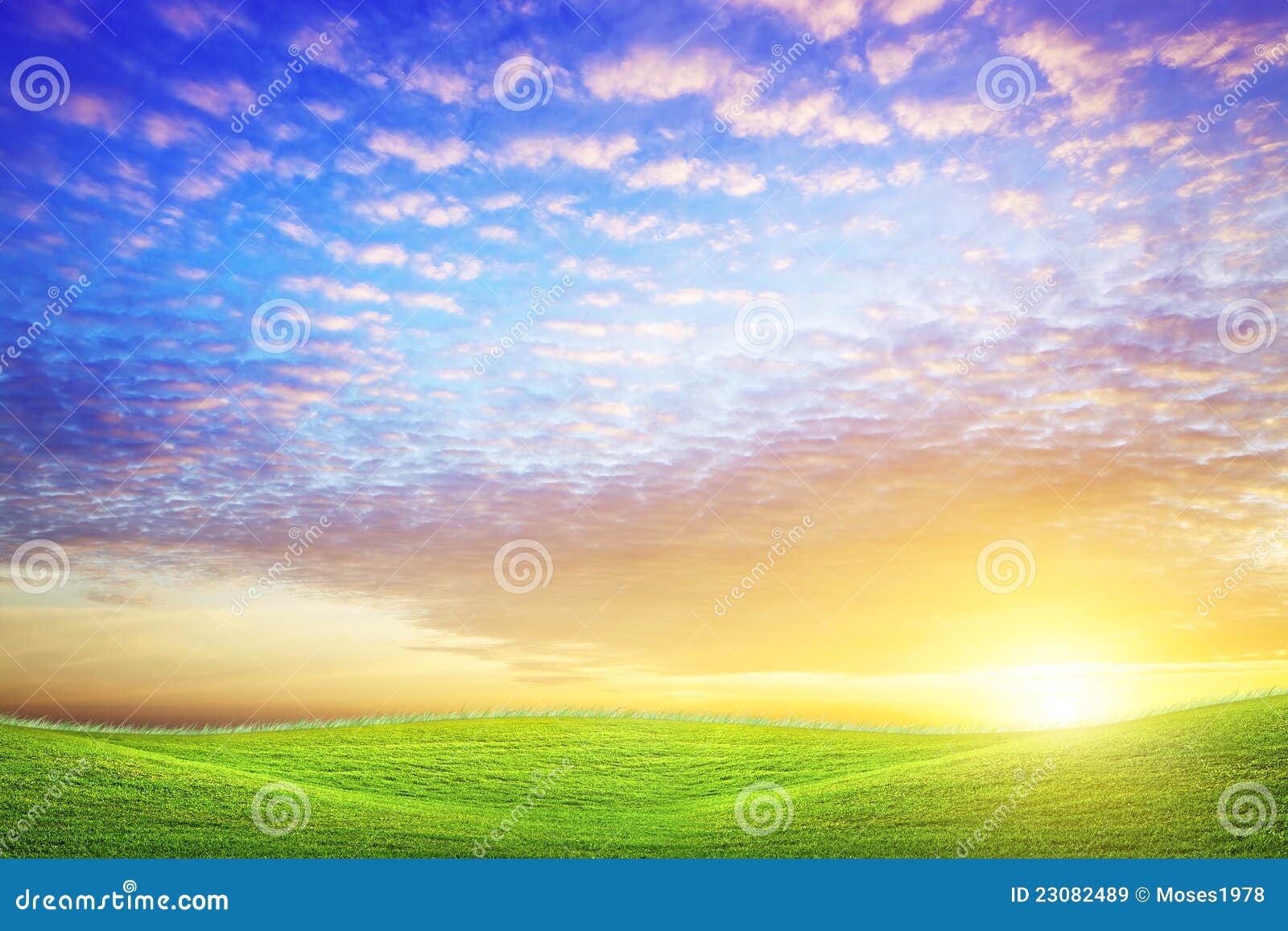 Idyllic summer landscape stock image. Image of land, nature - 23082489