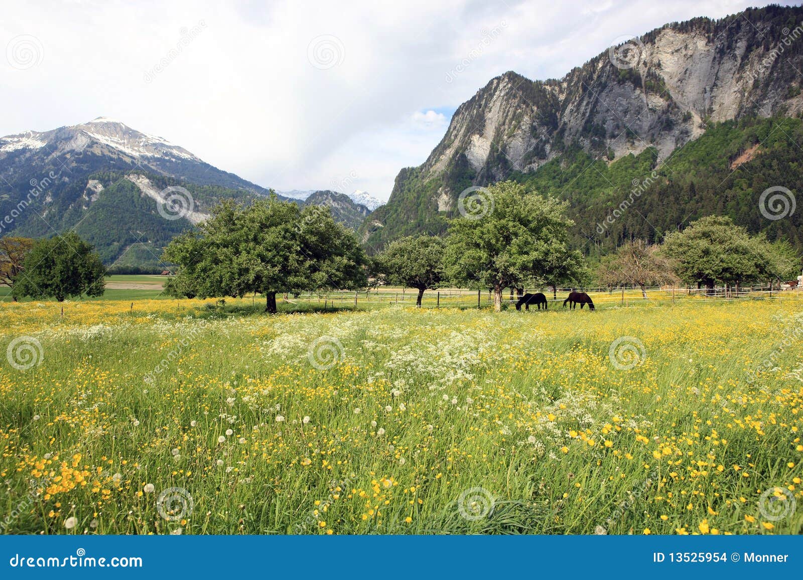 Idyllic Summer Scenery stock photo. Image of idyllic - 13525954