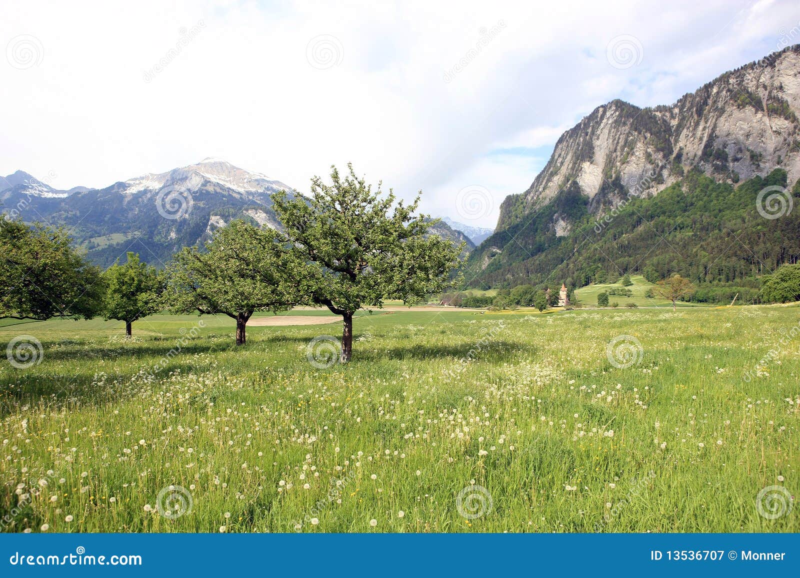 Idyllic Summer Scenery stock image. Image of forest, mountains - 13536707