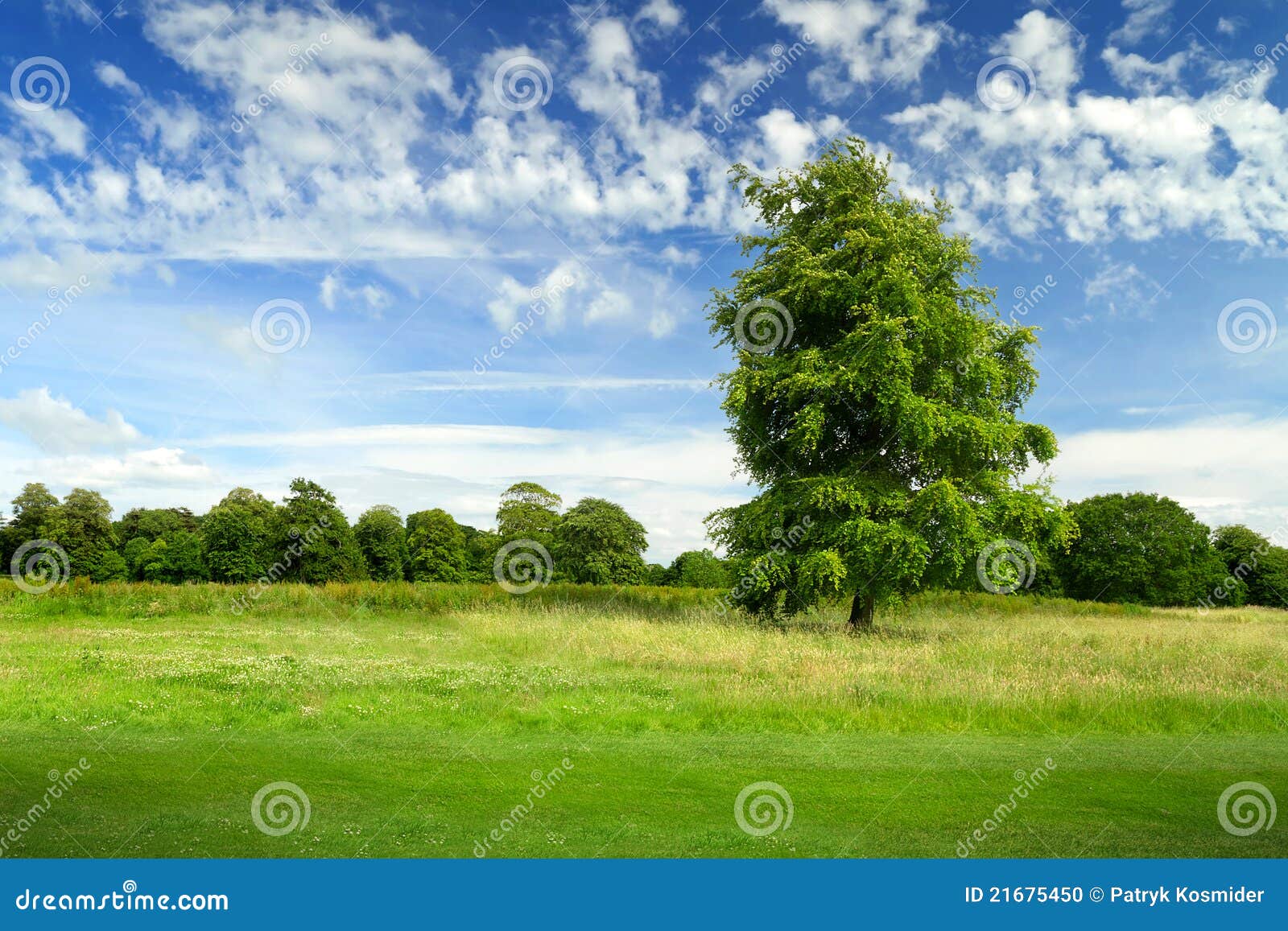 Idyllic summer scenery stock photo. Image of horizon - 21675450