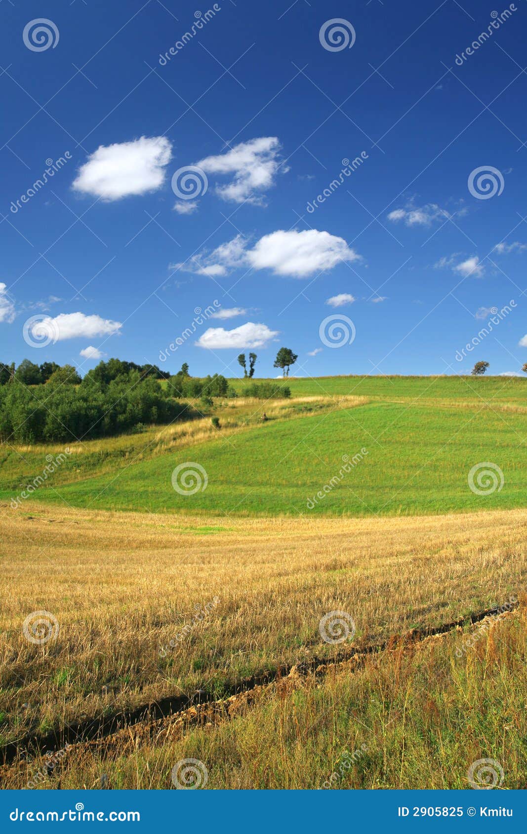 Idyllic summer scenery stock image. Image of cloud, field - 2905825