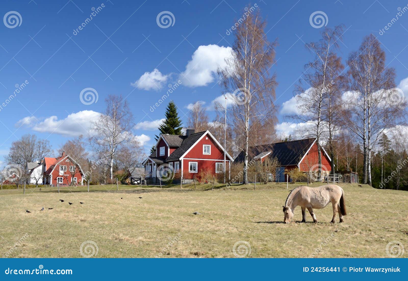 Idyllic Swedish Countryside Landscape Stock Image - Image of north ...