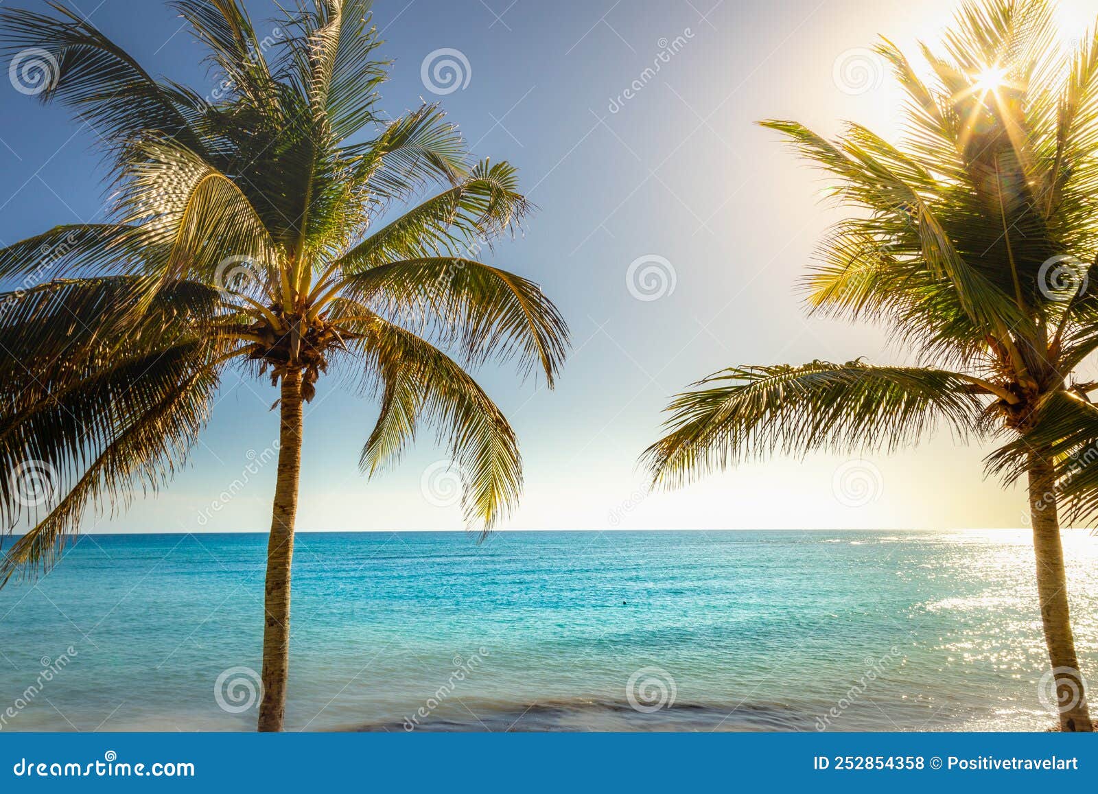 Idyllic Caribbean Beach With Palm Tree At Sunset In Aruba Dutch