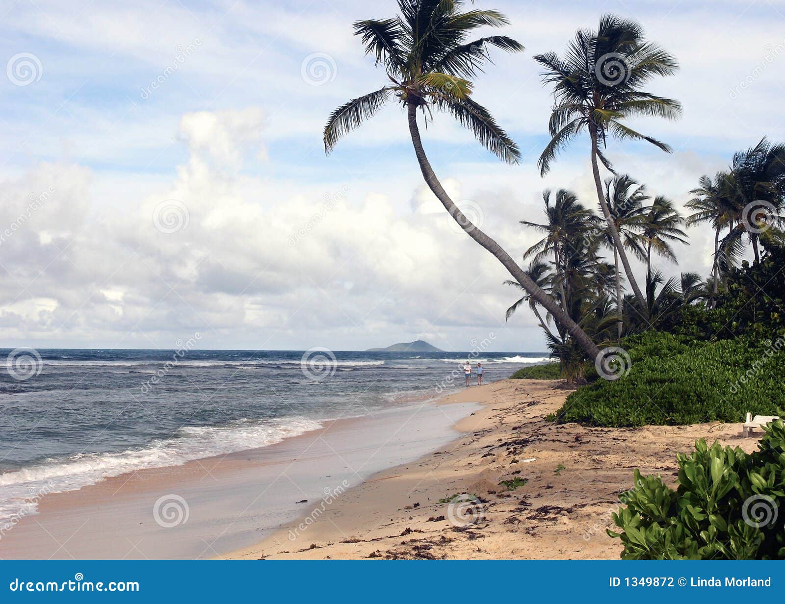 Idyllic tropical beach stock photo. Image of scenic, resort - 1349872