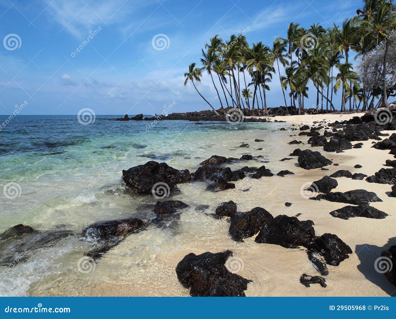 Idyllic tropical beach stock photo. Image of scenic, hawaii - 29505968