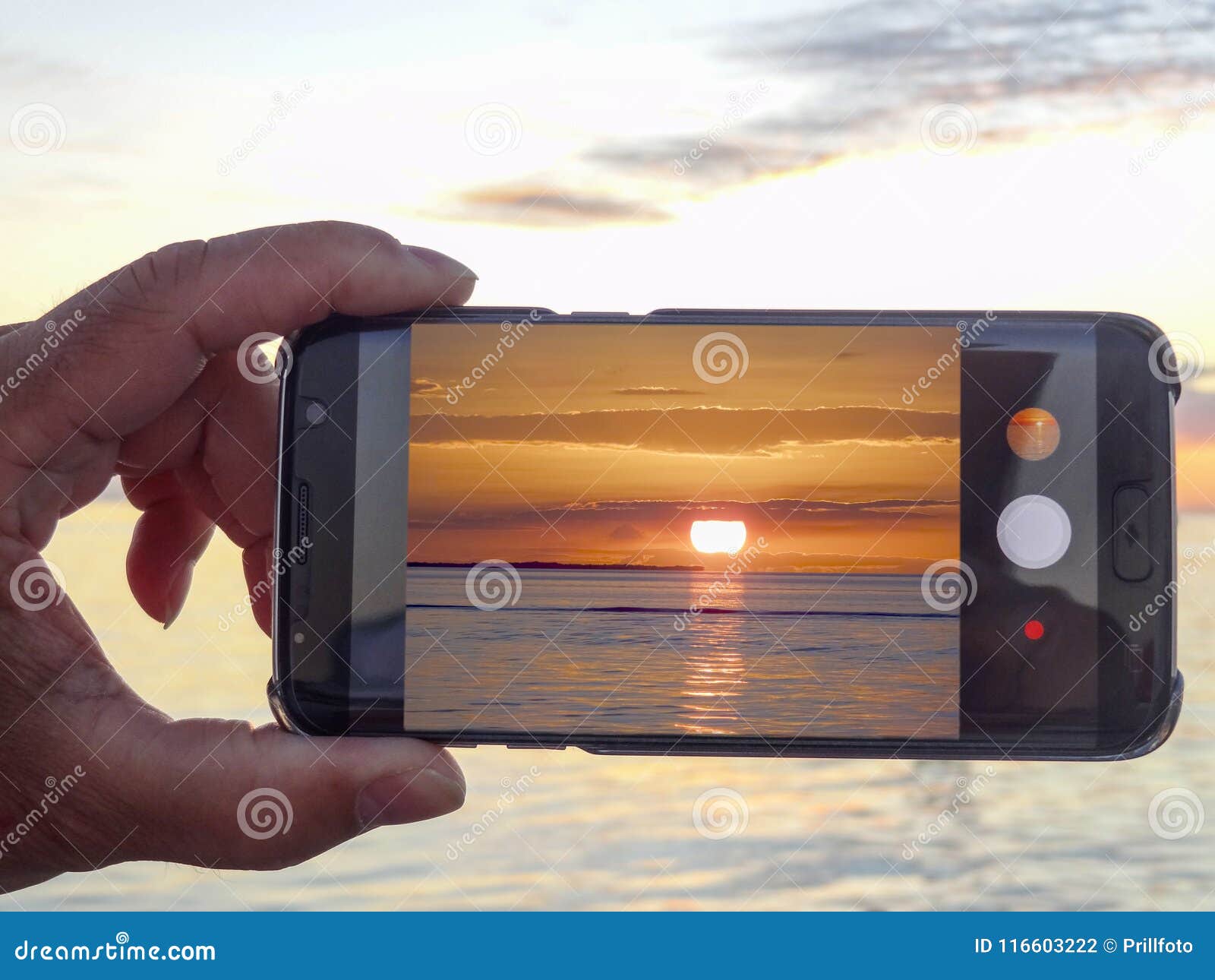 Sunset at mobile phone stock photo. Image of sunny, sundown - 116603222