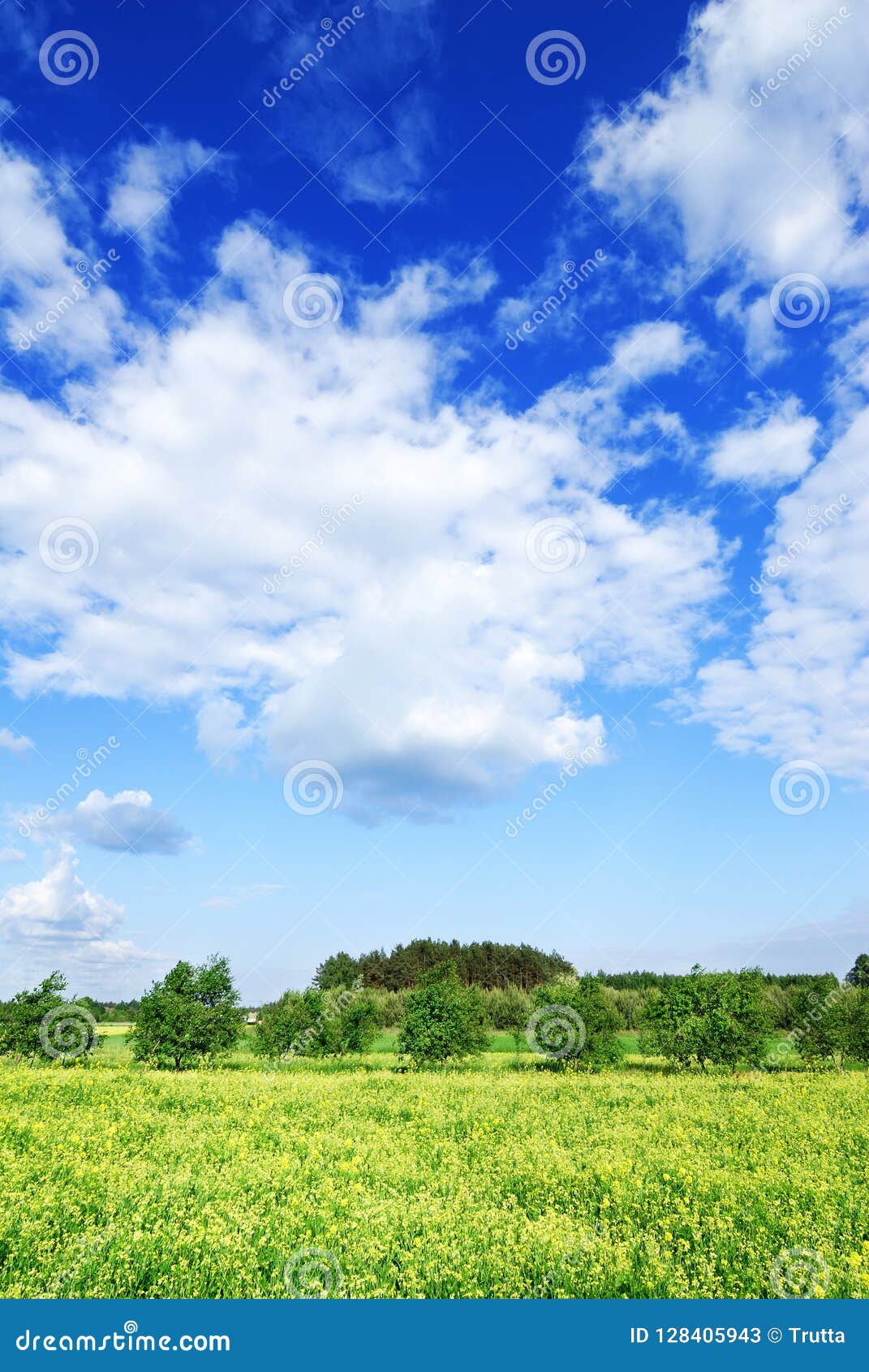 Idyllic View, Green Field and Blue Sky with White Clouds Stock Image ...