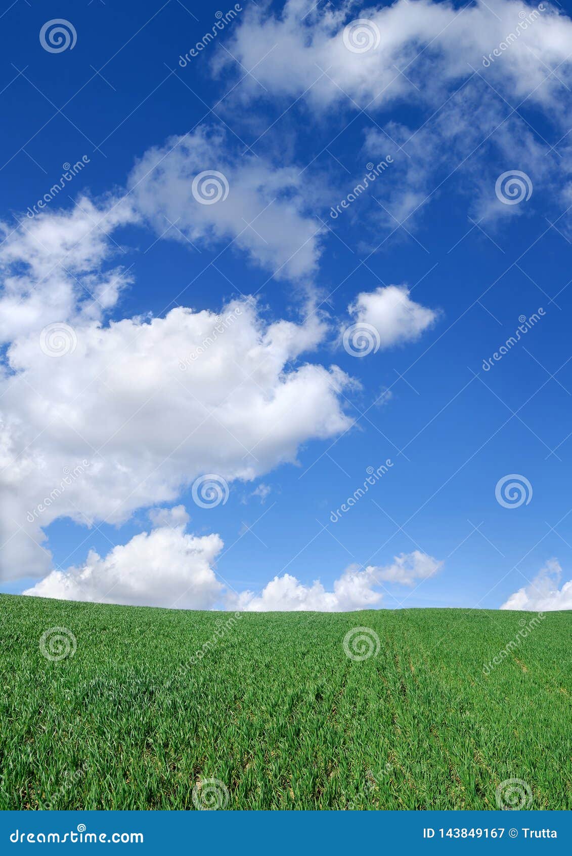Idyllic View, Green Field and Blue Sky with White Clouds Stock Image ...