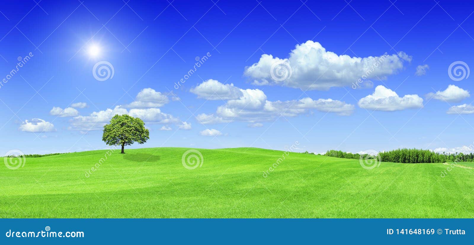 One Tree Standing On Top Of Mountain Of Saputara Range At Chikhaldara ...