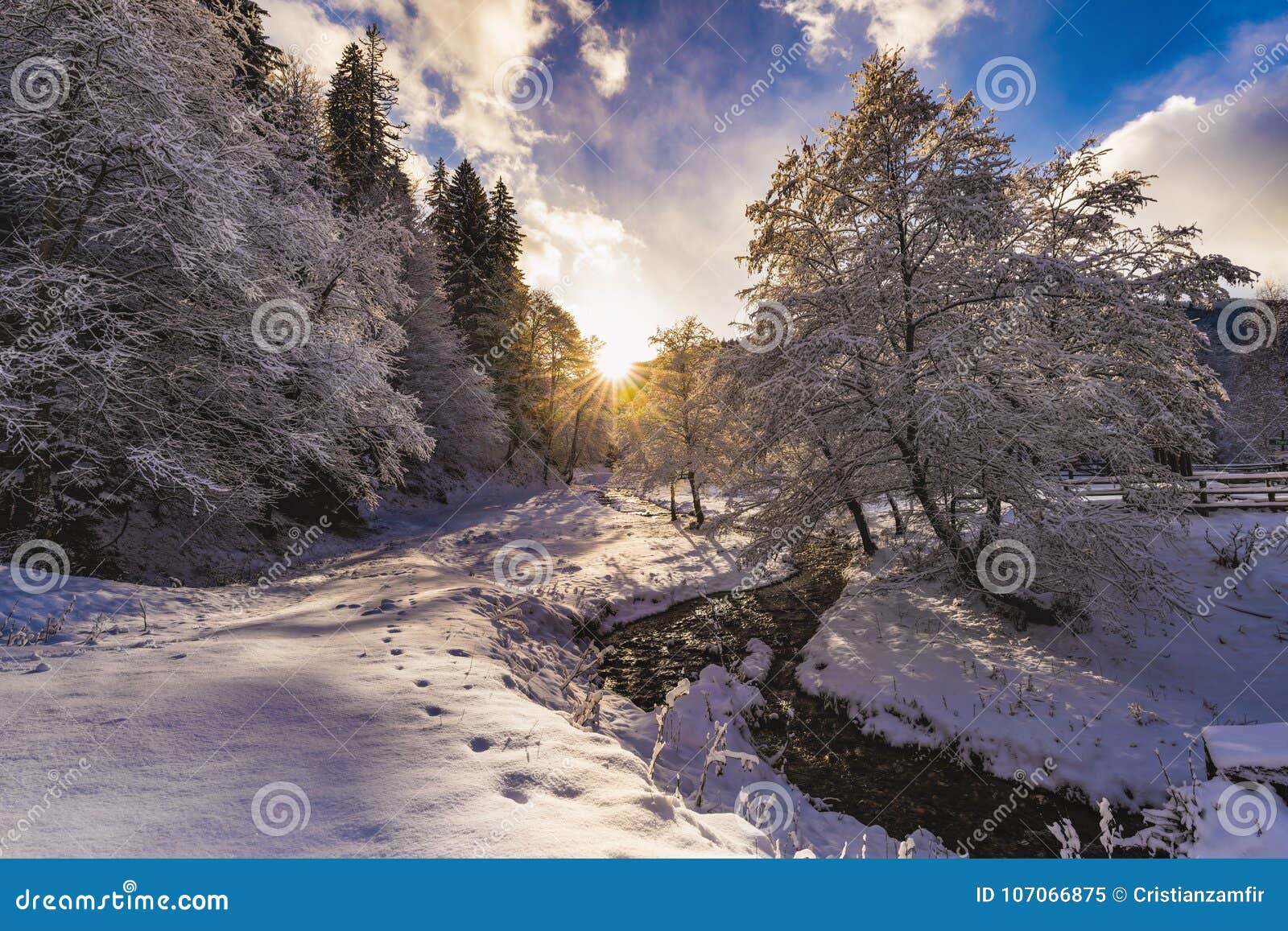 Idyllic winter landscape stock image. Image of frozen - 107066875