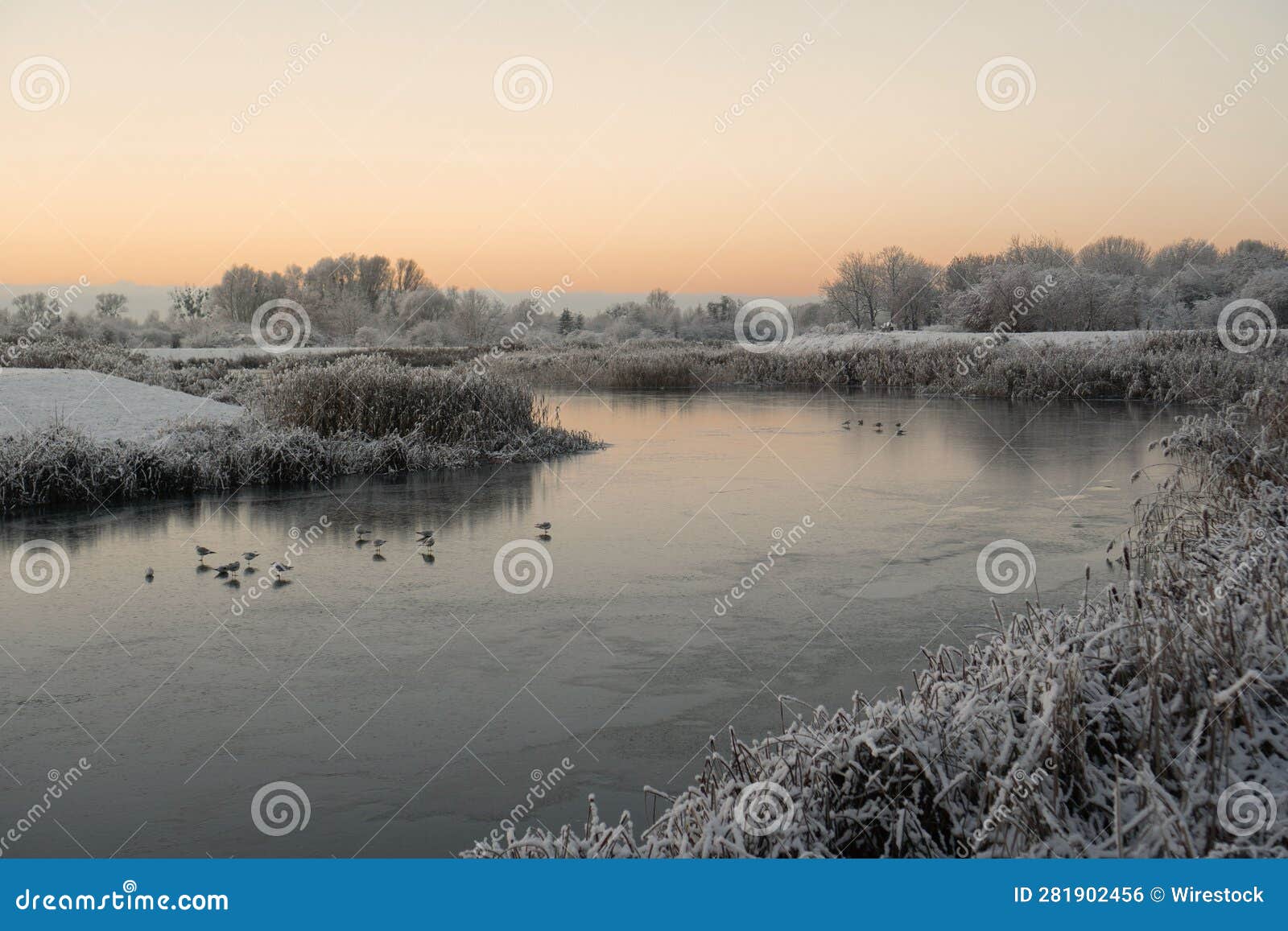 Idyllic Winter Scene of a Tranquil River Covered in a Layer of Ice ...