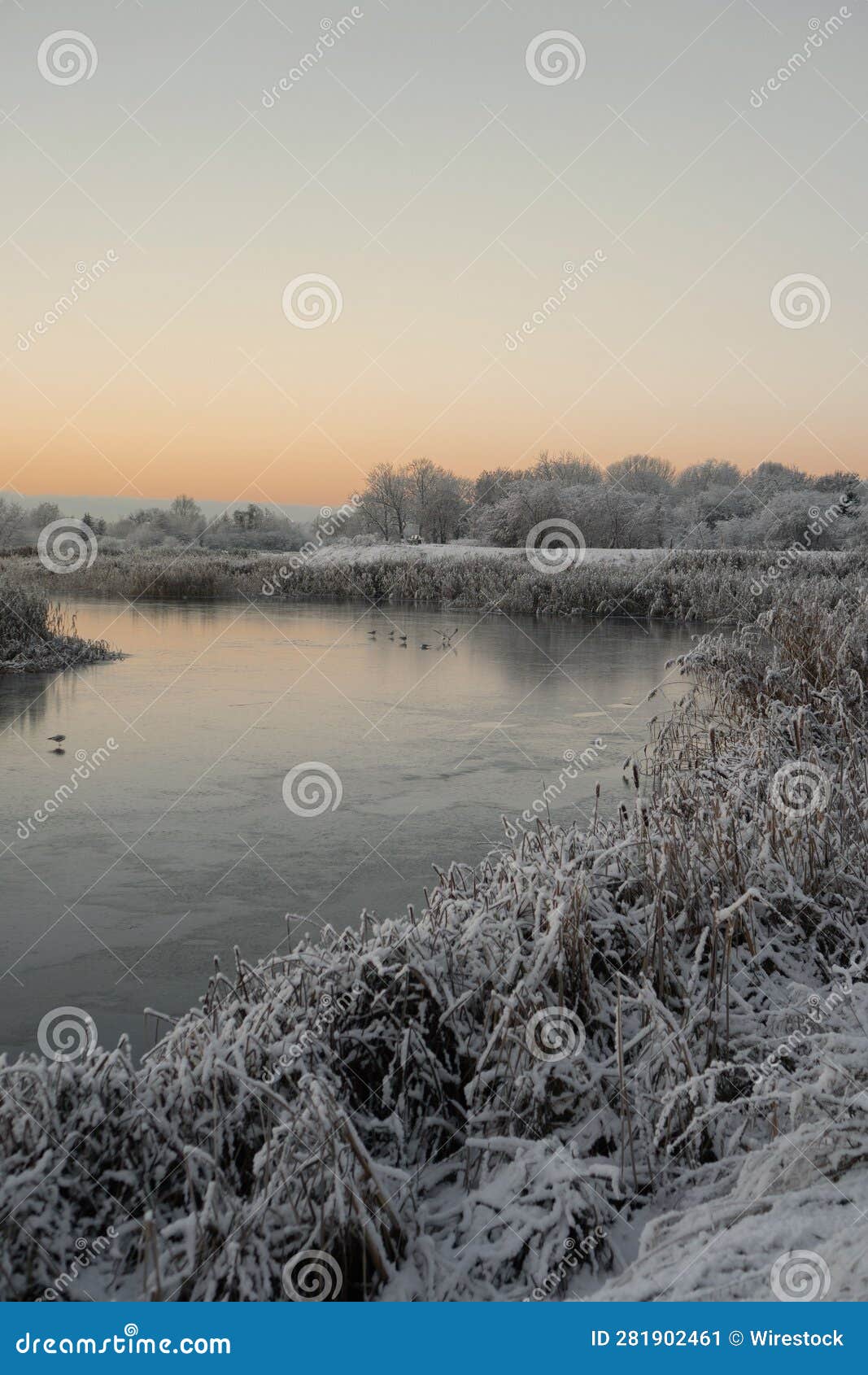 Idyllic Winter Scene of a Tranquil River Covered in a Layer of Ice ...