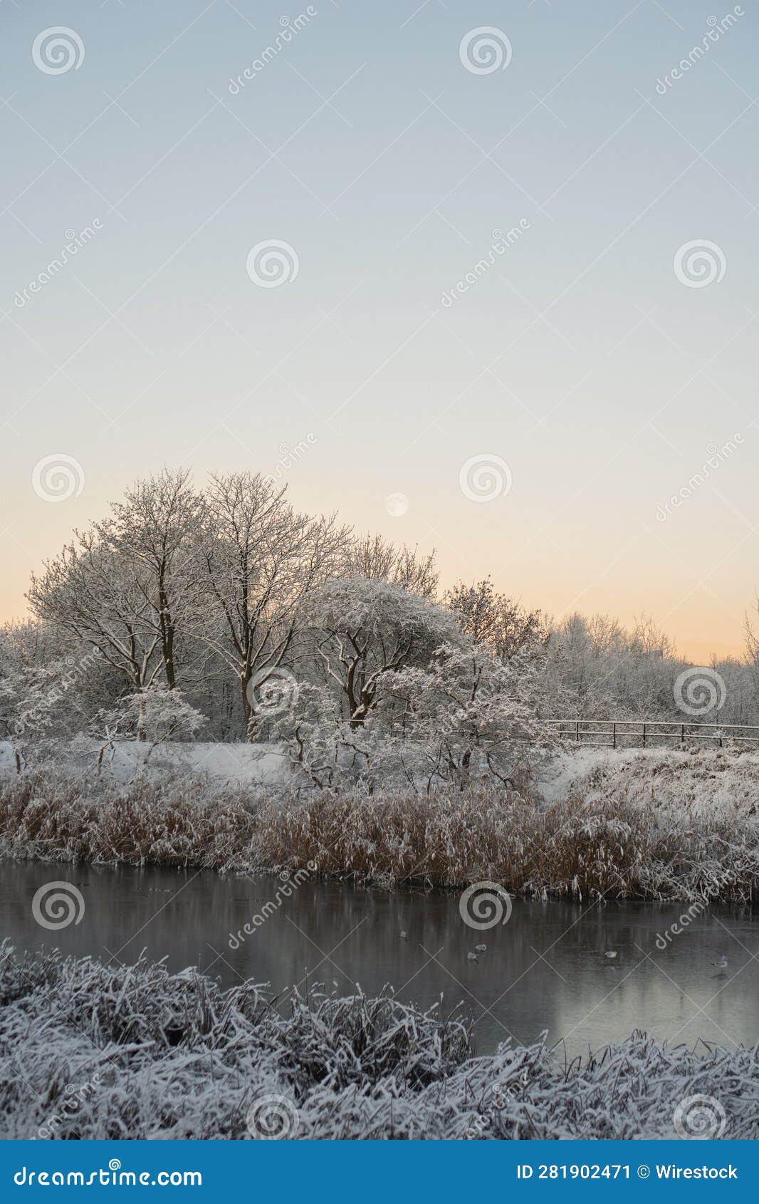 Idyllic Winter Scene of a Tranquil River Covered in a Layer of Ice ...