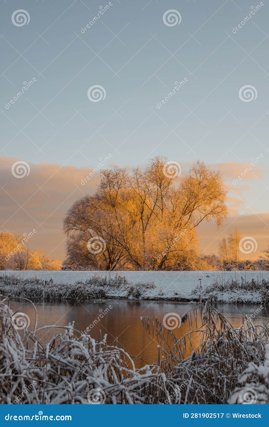 Idyllic Winter Scene of a Tranquil River Covered in a Layer of Ice ...