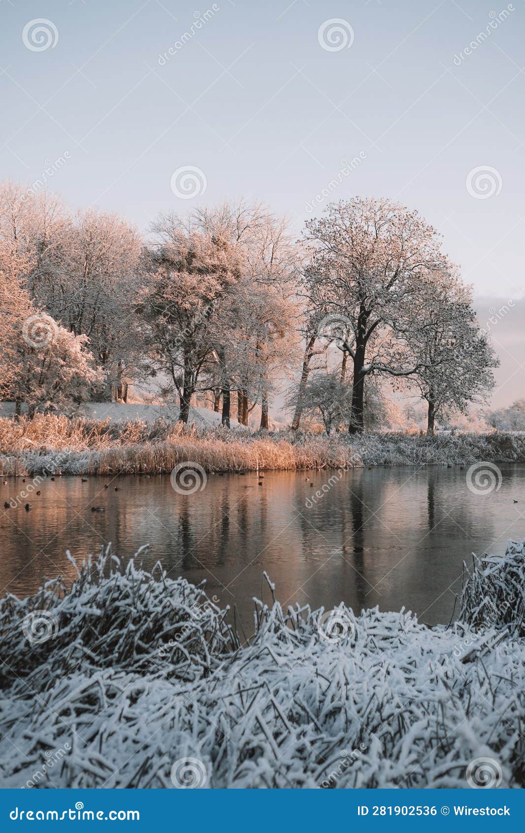 Idyllic Winter Scene of a Tranquil River Covered in a Layer of Ice ...