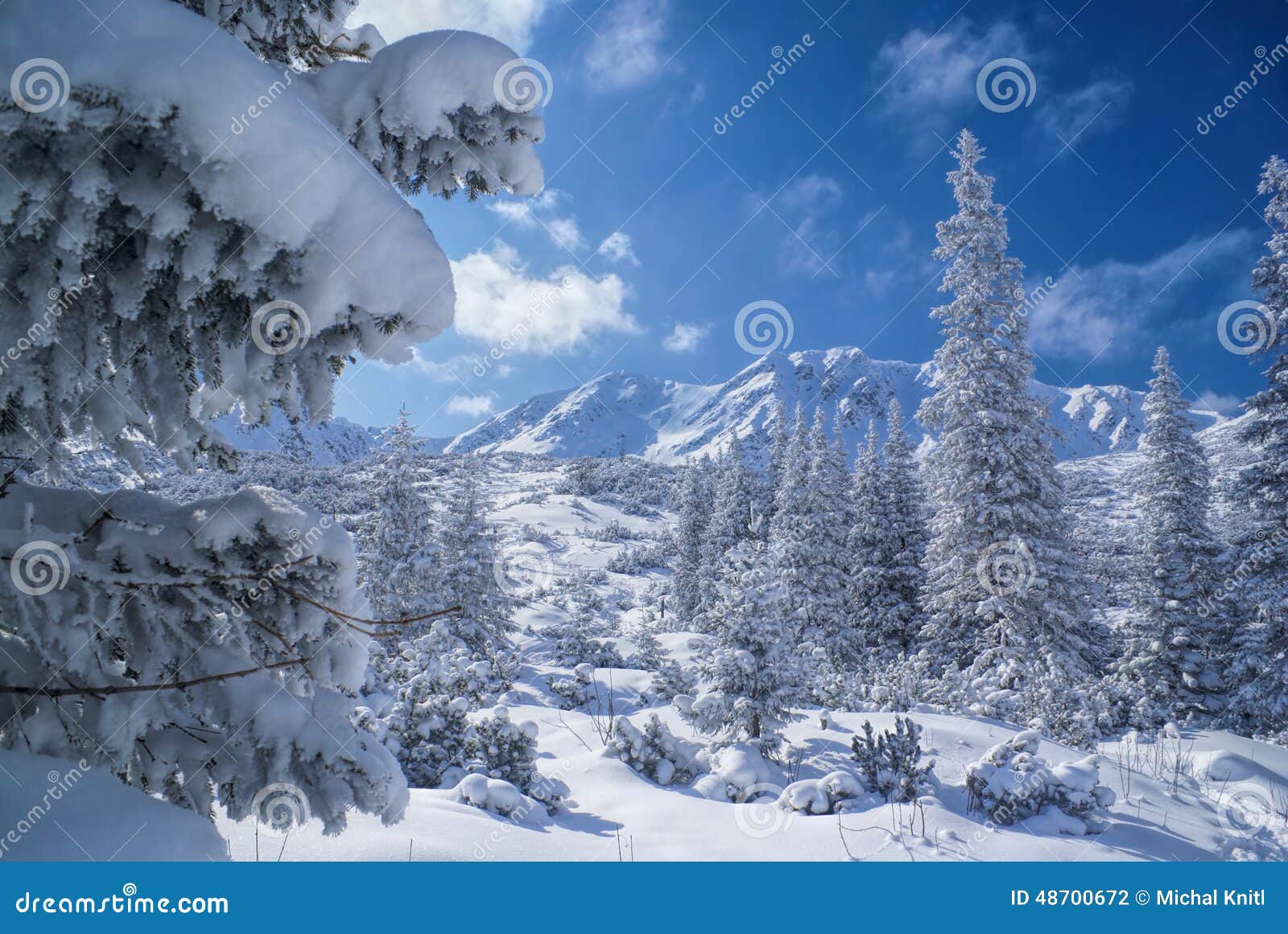 Idyllic winter stock photo. Image of tatras, nature, calm - 48700672