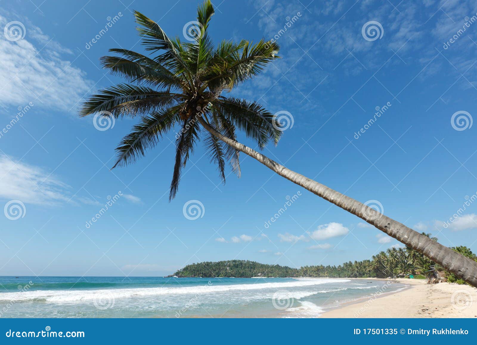 Idyllischer Strand Mit Palme. Sri Lanka Stockbild - Bild von sauber ...