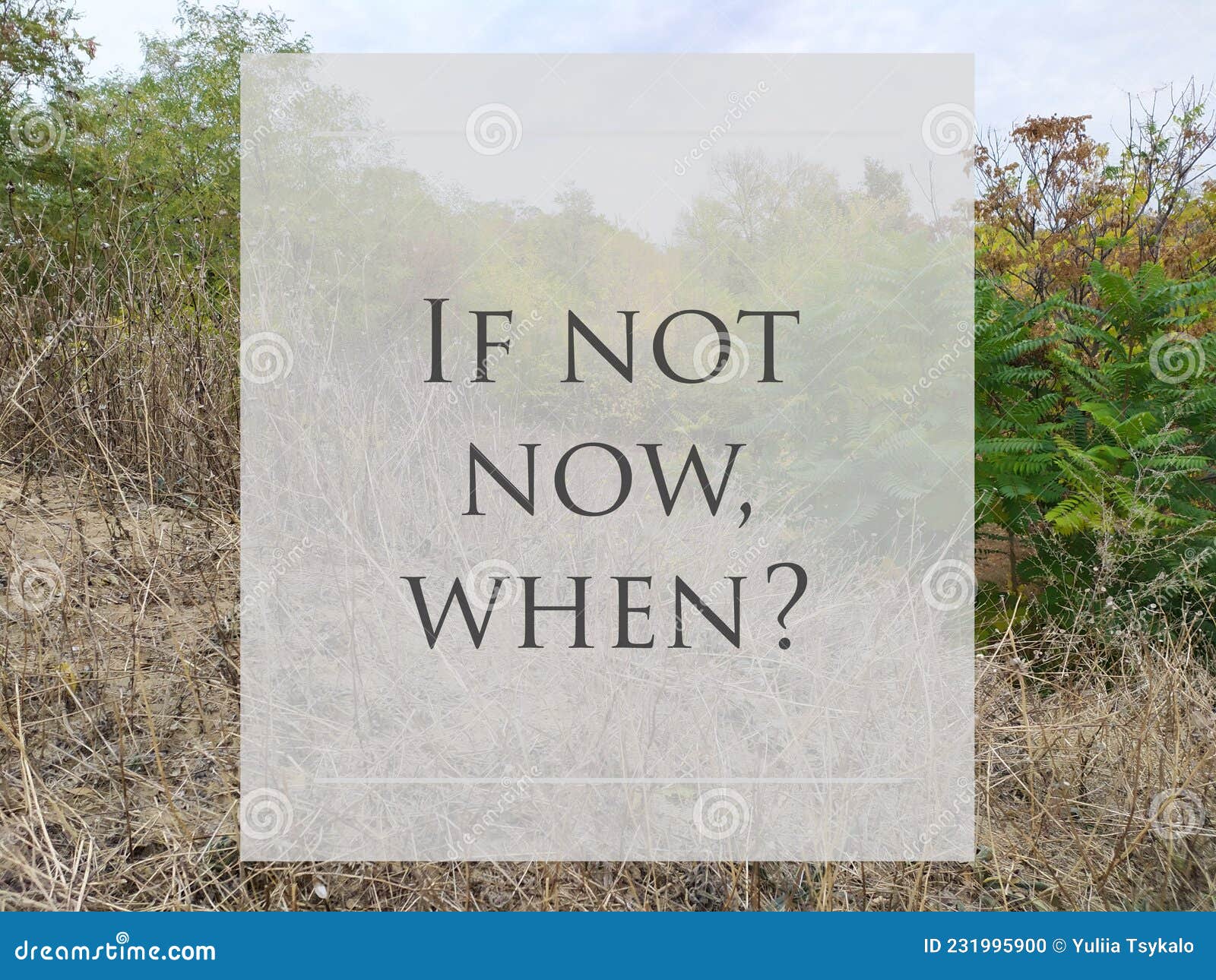 If Not Now when ? Motivational Quotes Stock Photo - Image of concept ...